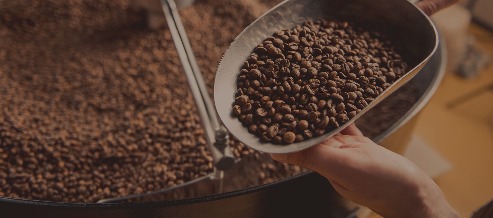 Equipment Purchase & Service | Brisk Coffee Roasters